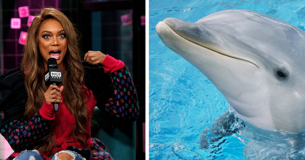 Bizarre Celebrity Phobias: You Won't Believe What Scares Them!