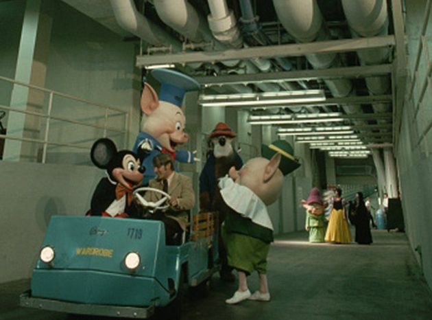 Mosquito Free Disney: How the Parks are Designed to Keep Them Out