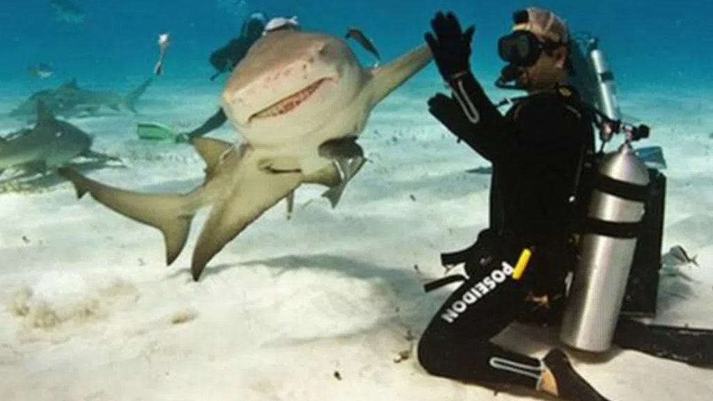 Photographs Revealing That Nothing Is As It Seems